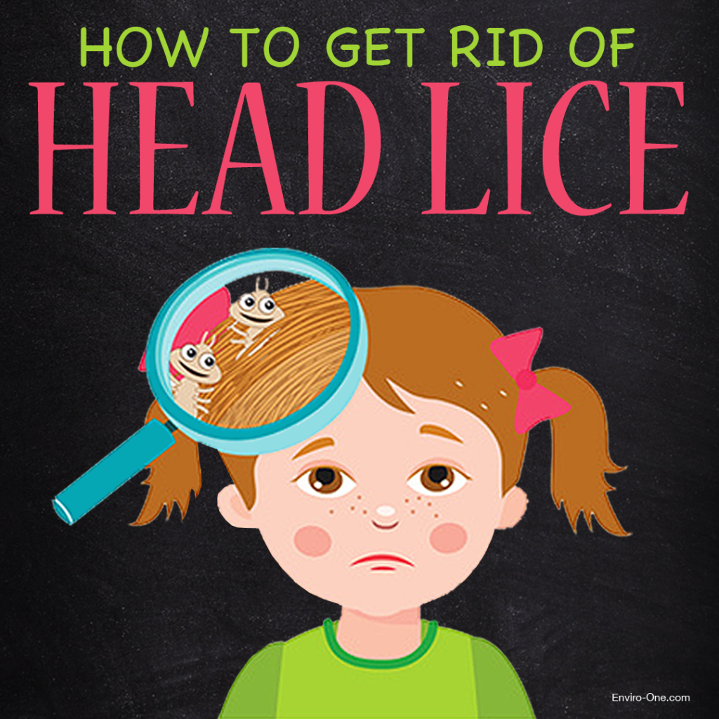 September is Head Lice Awareness Month - Enviro-One | Non-Toxic ...